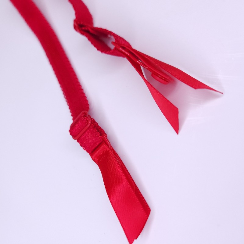 Crimson Elegance: Red Sissy Garter Belt for Men. Mesh Lace Sissy ...